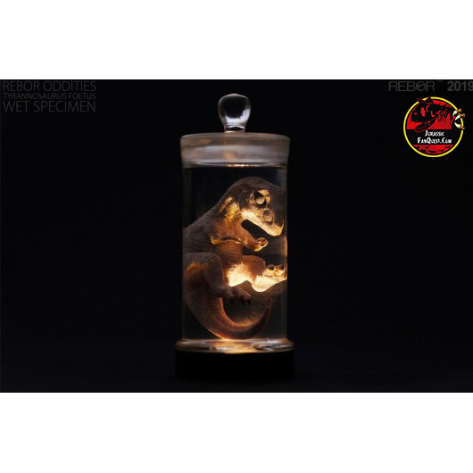 Oddities Tyrannosaurus Rex Foetus Wet Specimen With Light Up Base Rebor