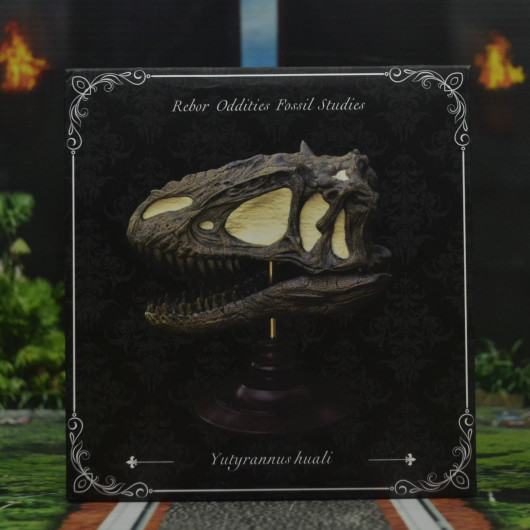 Oddities Fossil Studies Yutyrannus Huali Museum Class Skull Rebor - en ...