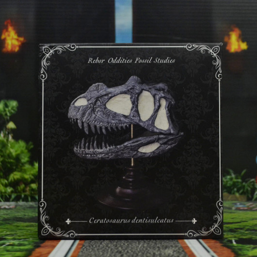 Oddities Fossil Studies Ceratosaurus Dentisulcatus Museum Class Skull ...