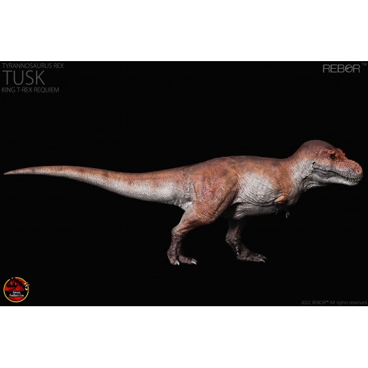 Rebor Tyrannosaurus Rex “TUSK” King T-REX Requiem